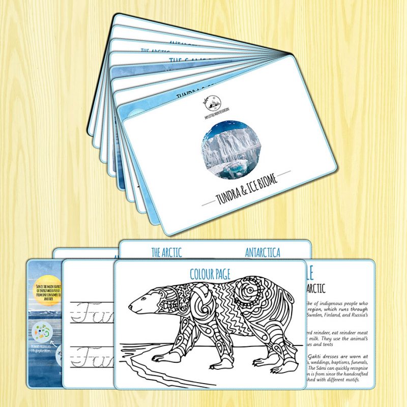 Tundra & Ice Biome Pack - My Little Montessorian