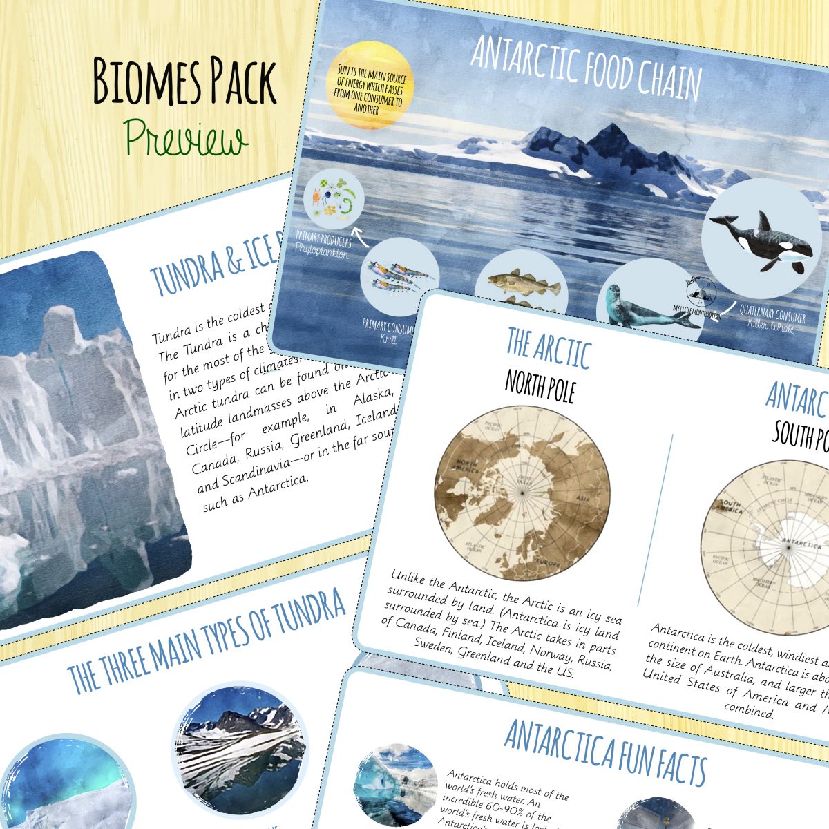 Tundra & Ice Biome Pack - My Little Montessorian