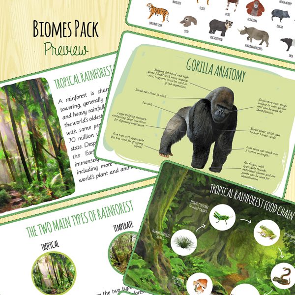 Tropical Rainforest Biome Pack - My Little Montessorian