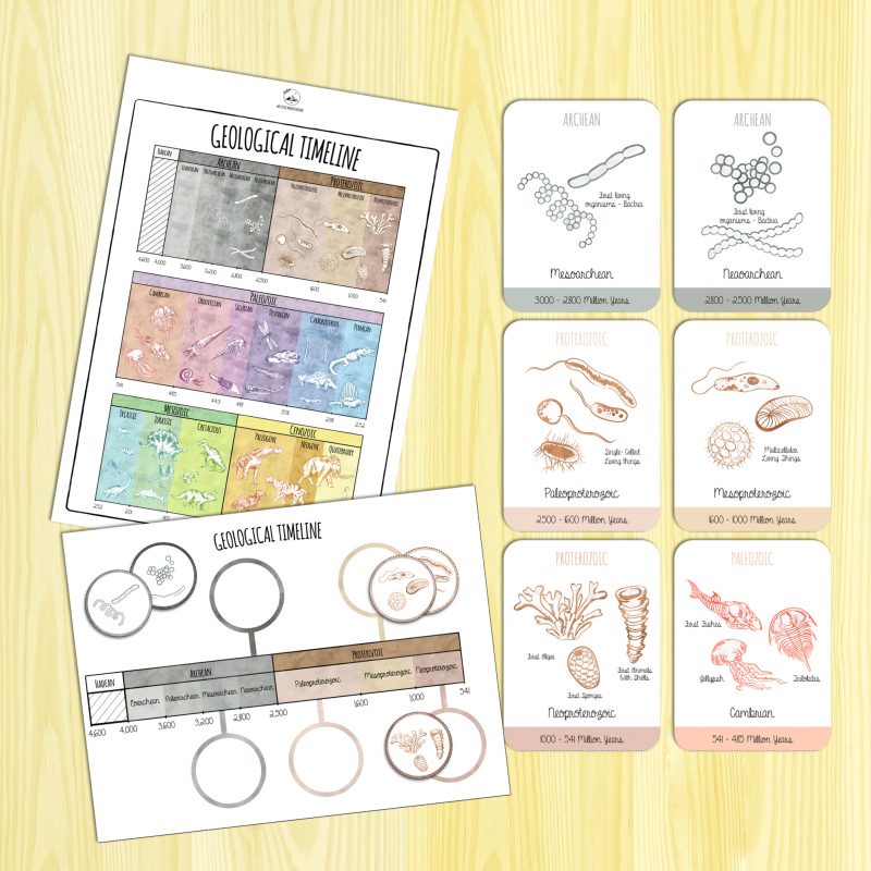 Geological Timeline - My Little Montessorian