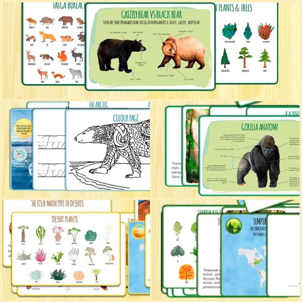 World Biomes Bundle - My Little Montessorian